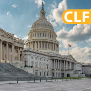 Projects | Life Cycle Lab